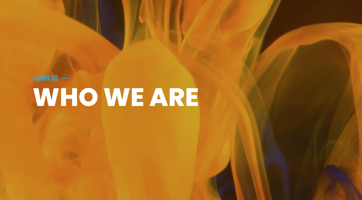 About Us - ExpertDojo