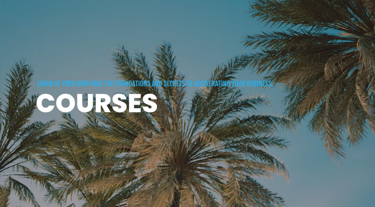 Courses - ExpertDojo